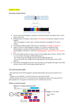 Lecture 8 - visual perception - Lecture 8: Humans have 2 forward facing ...