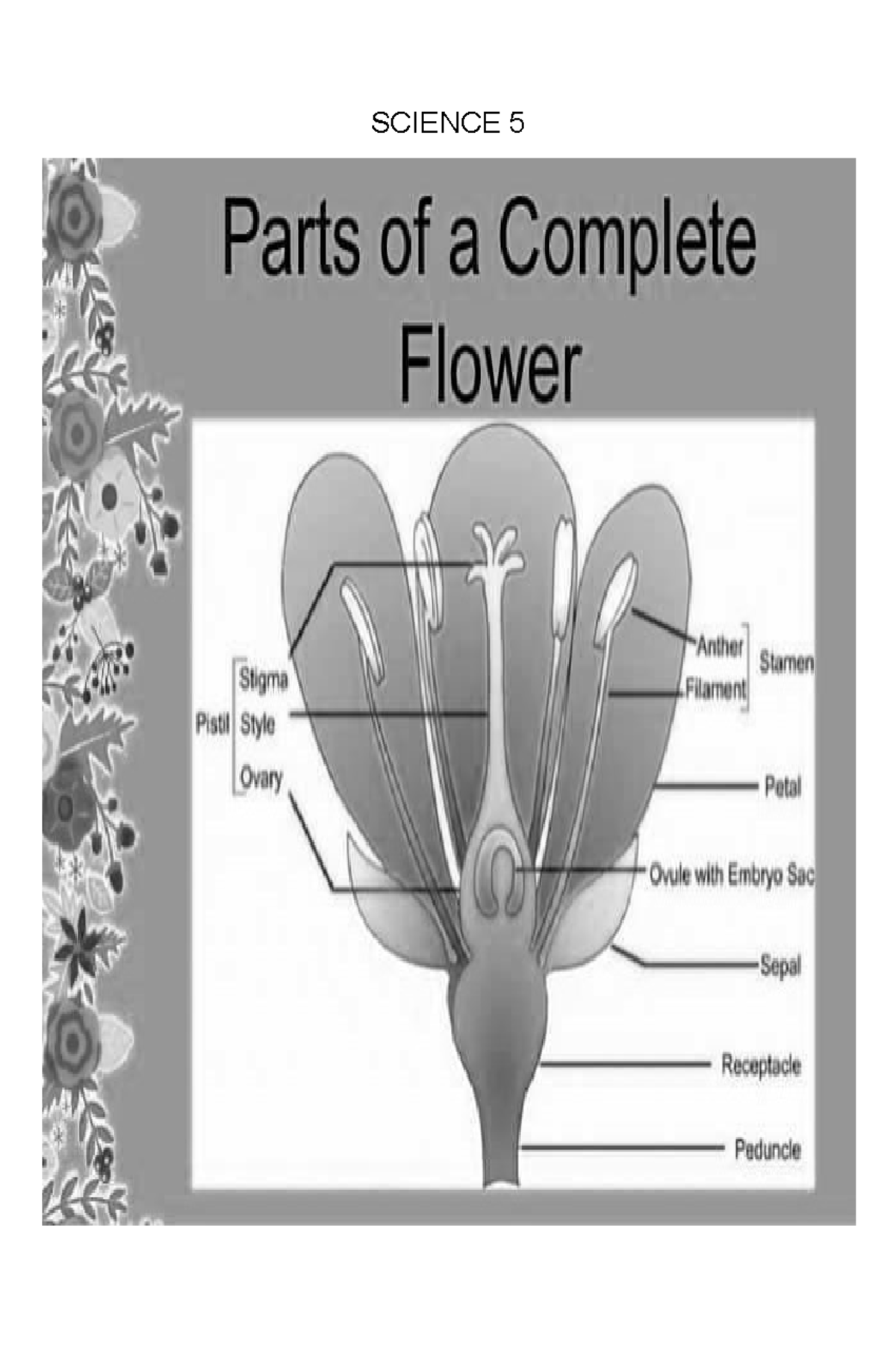 Science 5 Parts OF A Flower - Earth and Life Science - SCIENCE 5 Parts ...