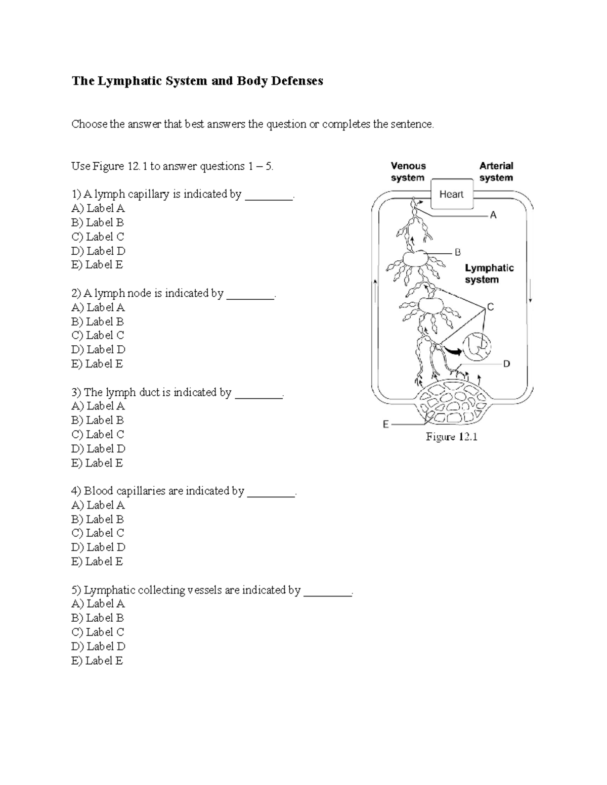 The Lymphatic System and Body Defenses Test (Cannon) - The Lymphatic ...