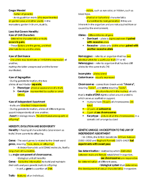 Hggg - Summary Grade 11 Senior High School - Grade 11 Senior High ...