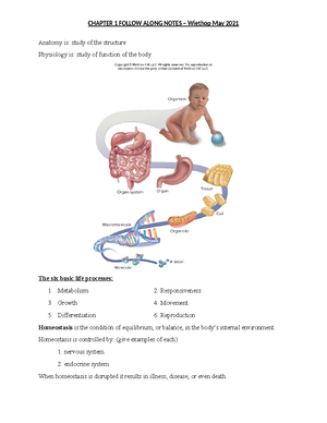BIOS251 - Chapter 4 FAN Mc Graw Hill-1 (1) - DNA STRUCTURE AND FUNCTION DNA is the structure ...