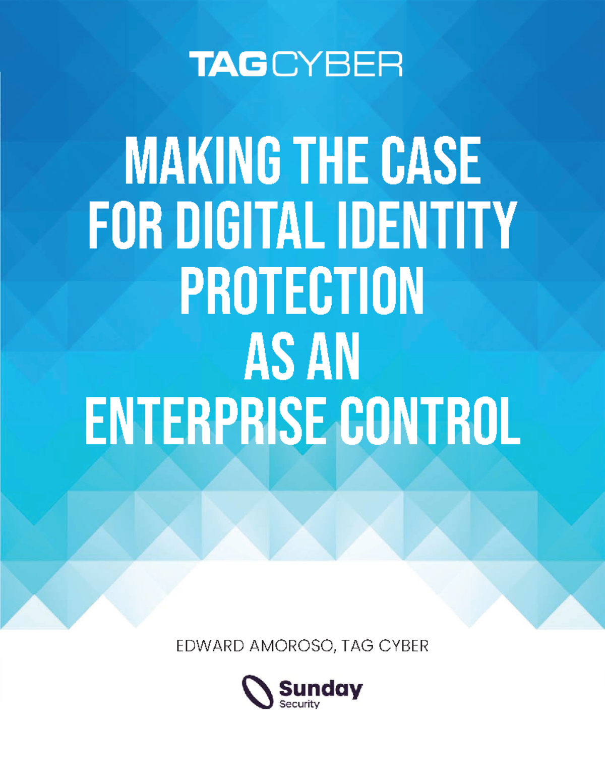 Making the Case for Digital Identity Protection as an Enterprise ...