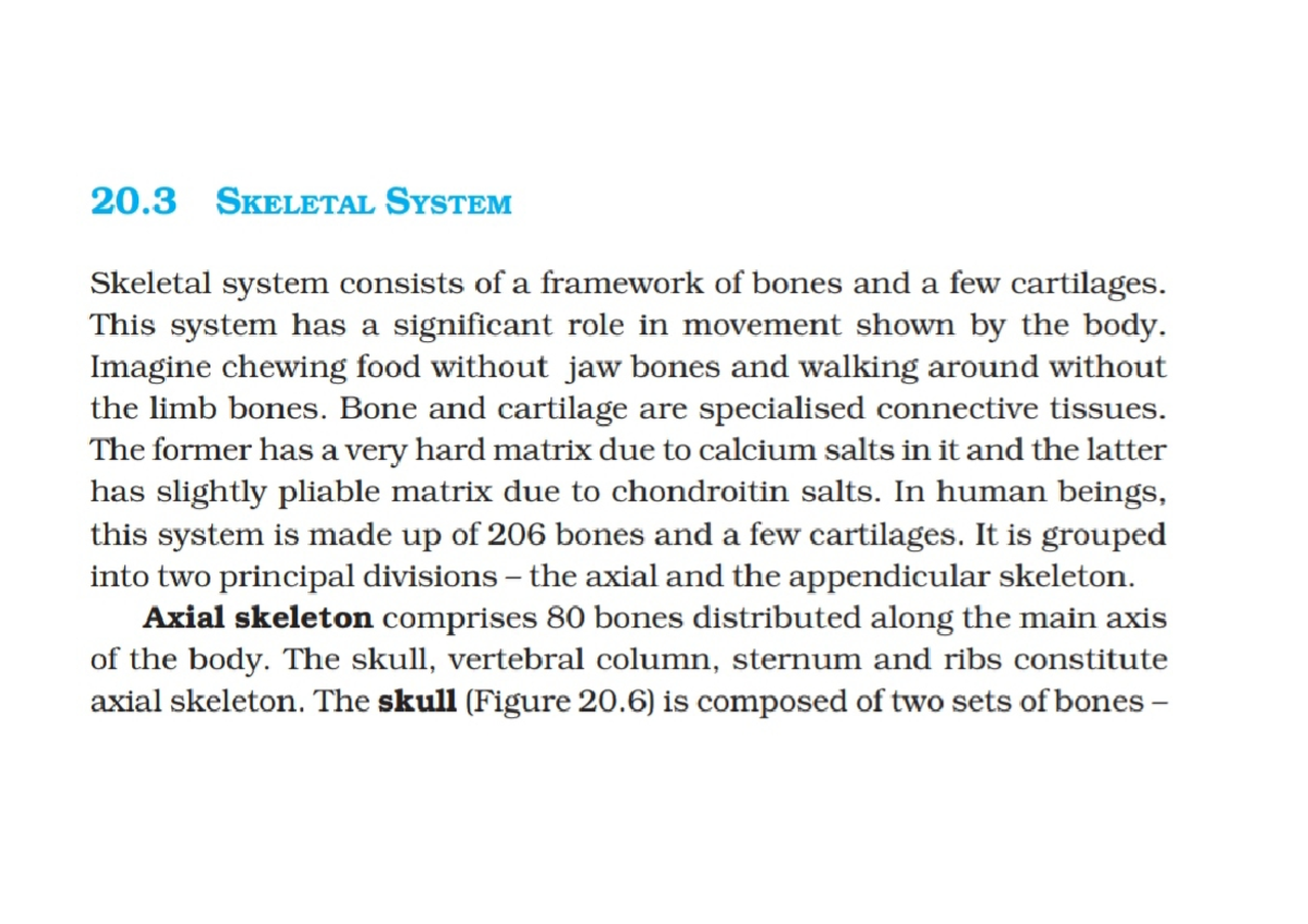 Skeletal System - Biology - Cbse zoology class 12 - Studocu