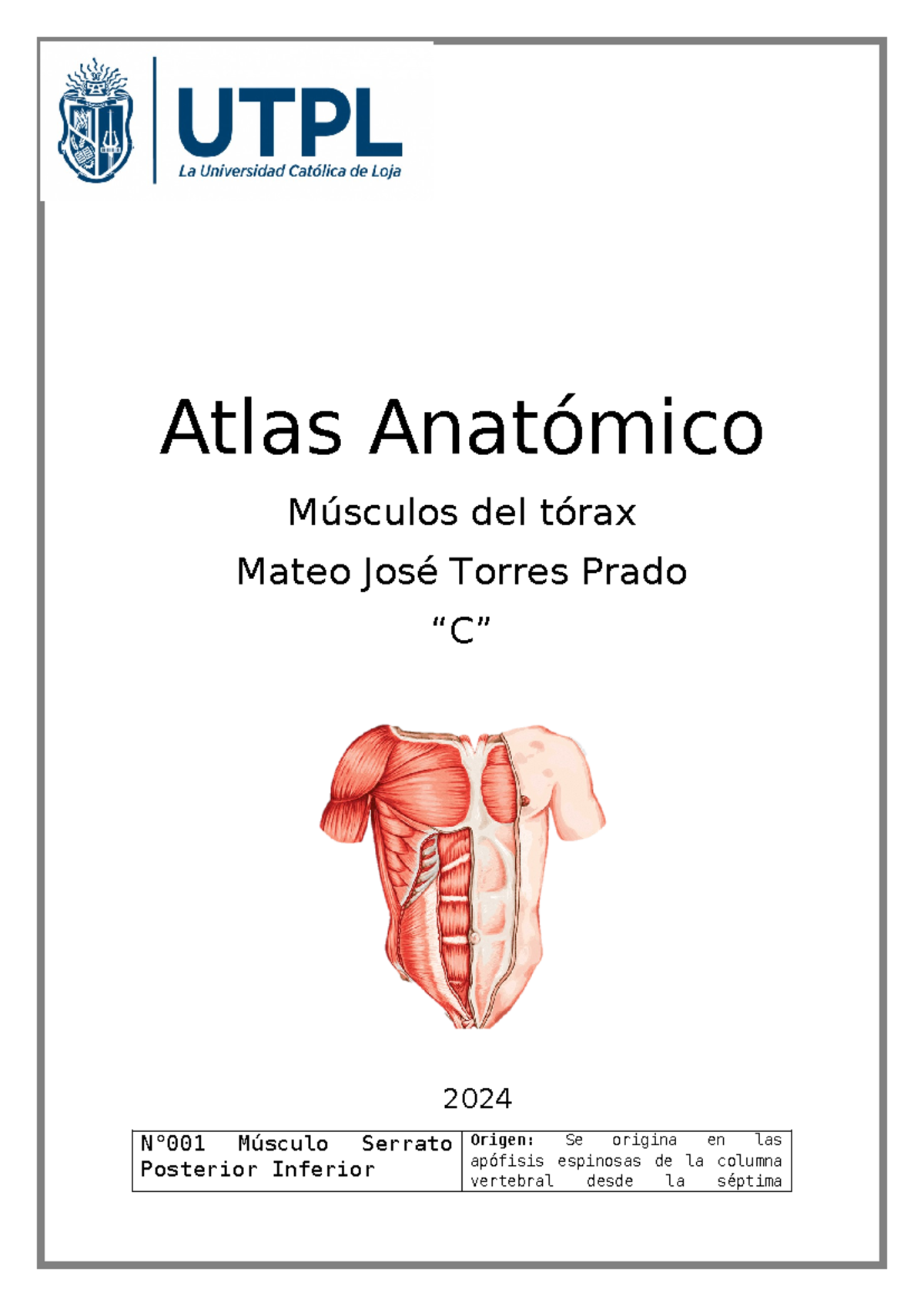 Atlas Anatómico 1 - Músculos del torax - Atlas Anatómico Músculos del ...
