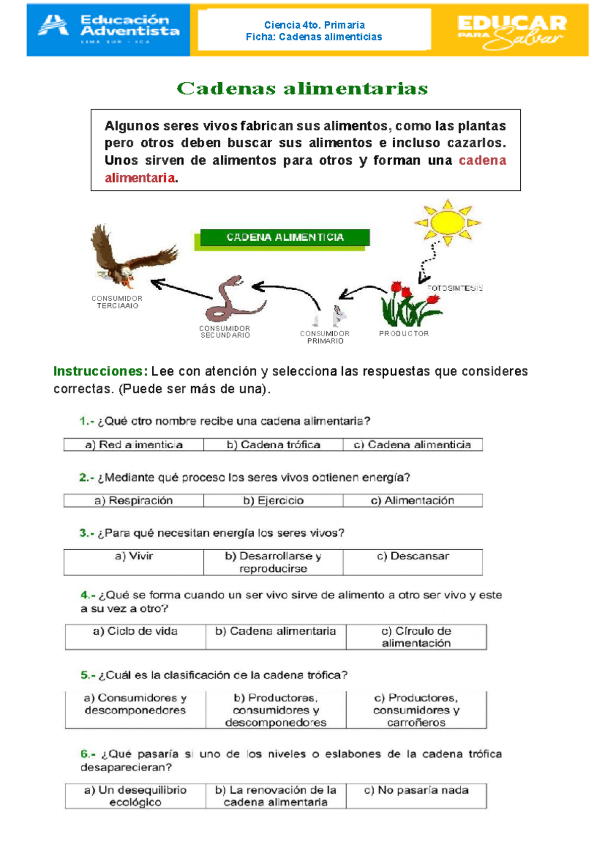 Ficha Cadena Alimenticia - Ciencia 4to. Primaria Ficha: Cadenas ...