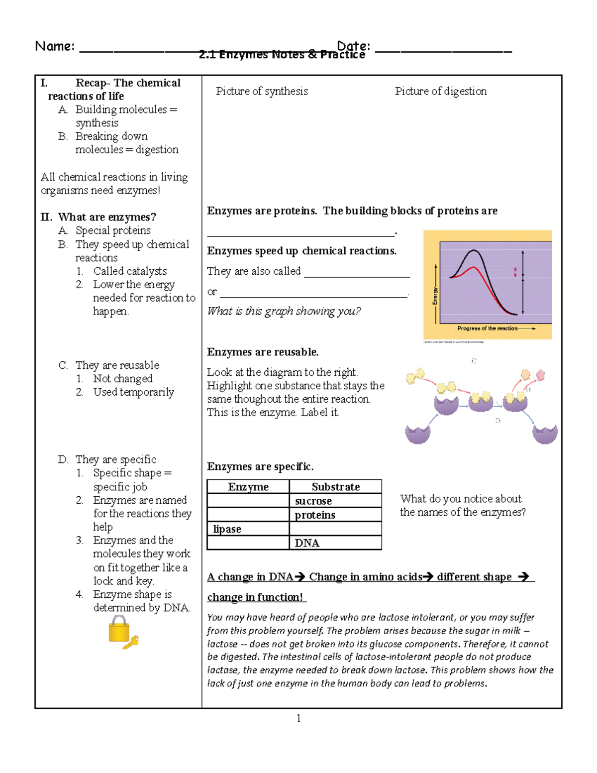 2 1 Enzymes Packet Name Date 2-1-enzymes-packet-name-date