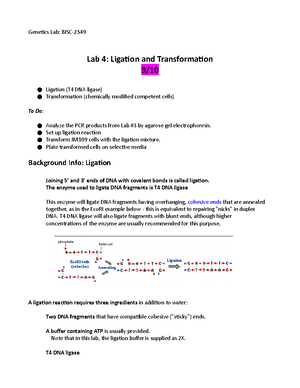 Lab 2 worksheet student version - Genetics Lab: BISC- Lab 2: DNA ...