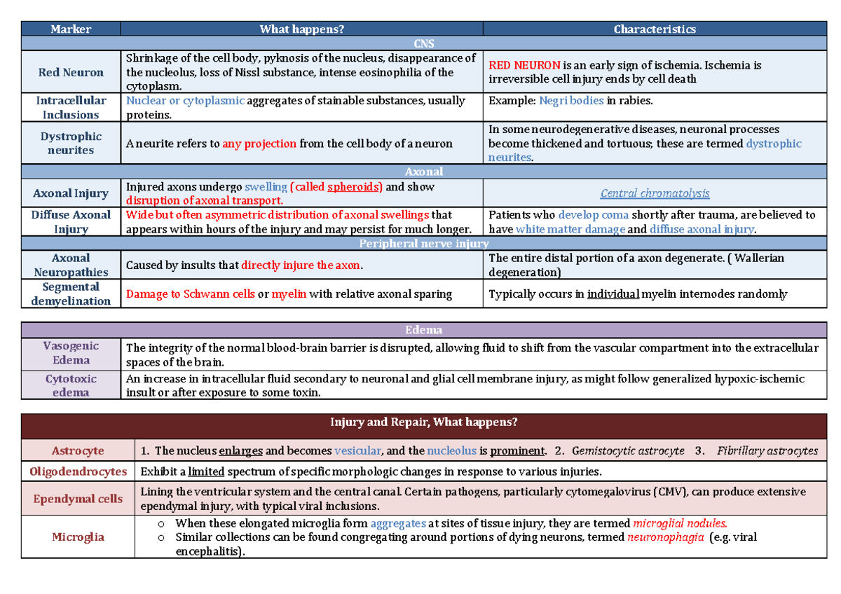 Summary Sheet - Marker What happens? Characteristics CNS Red Neuron ...