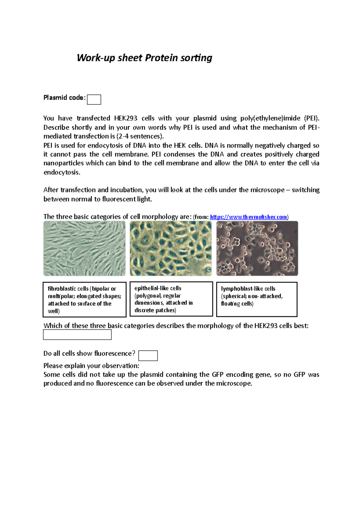 Protein sorting 2 - practicum - Work-up sheet Protein sorting Plasmid ...