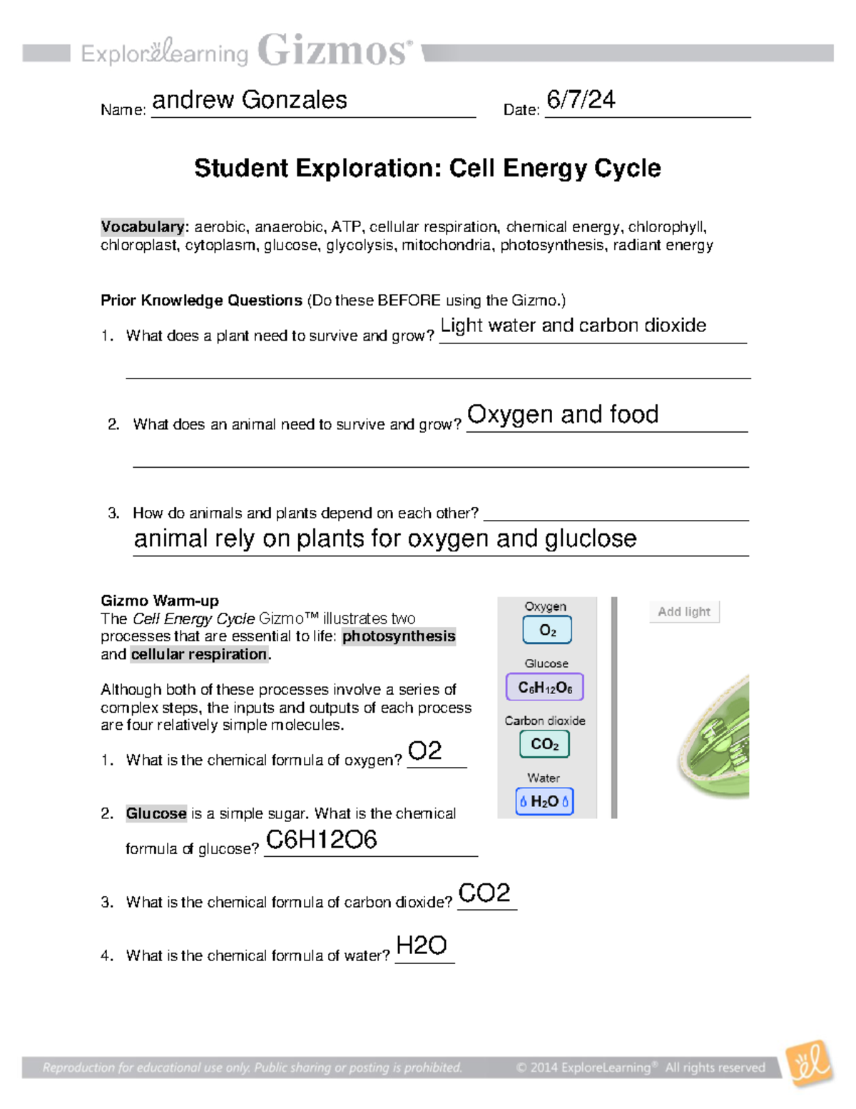 Cell Energy Cycle Student Exploration - Name ...