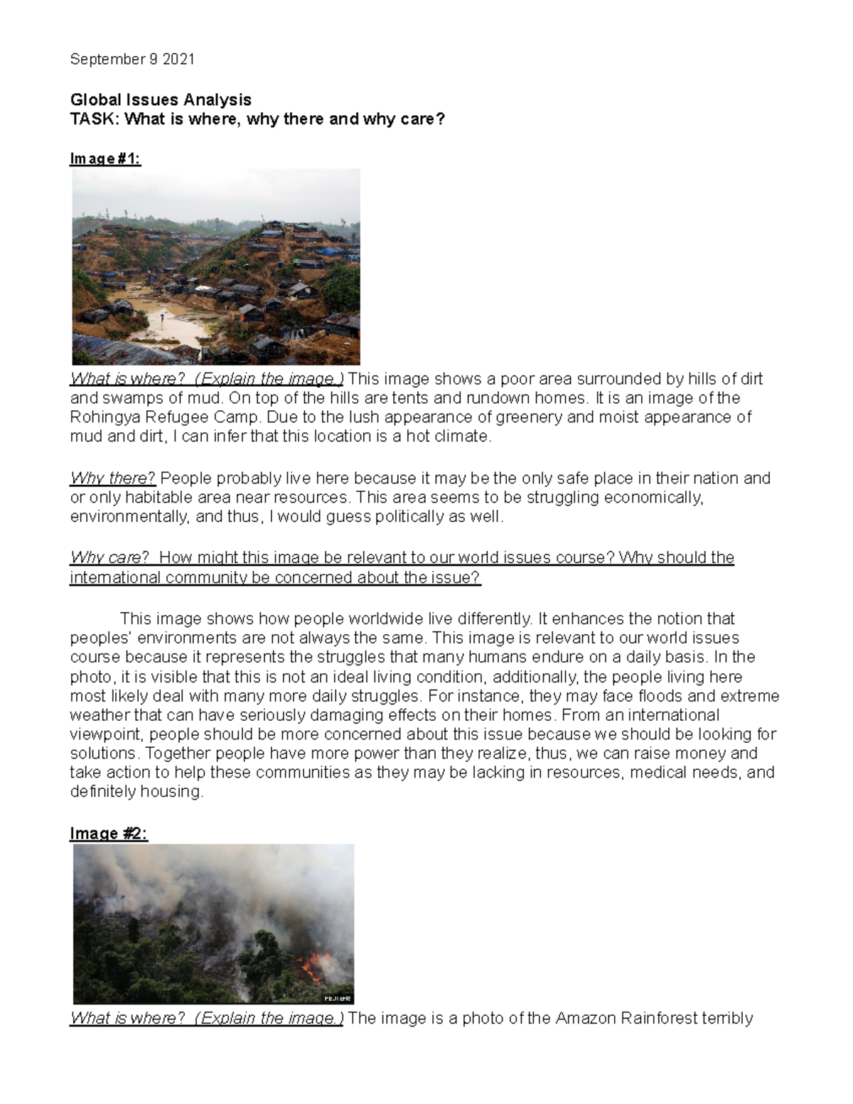 Global Issues Analysis - September 9 2021 Global Issues Analysis TASK ...
