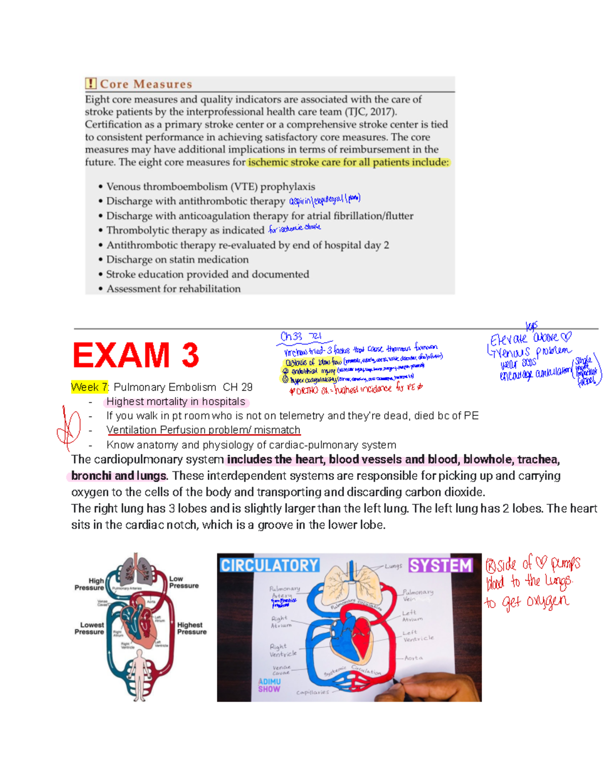 Exam 3- lectures 1-5 - Lecture notes - EXAM 3 Week 7: Pulmonary ...