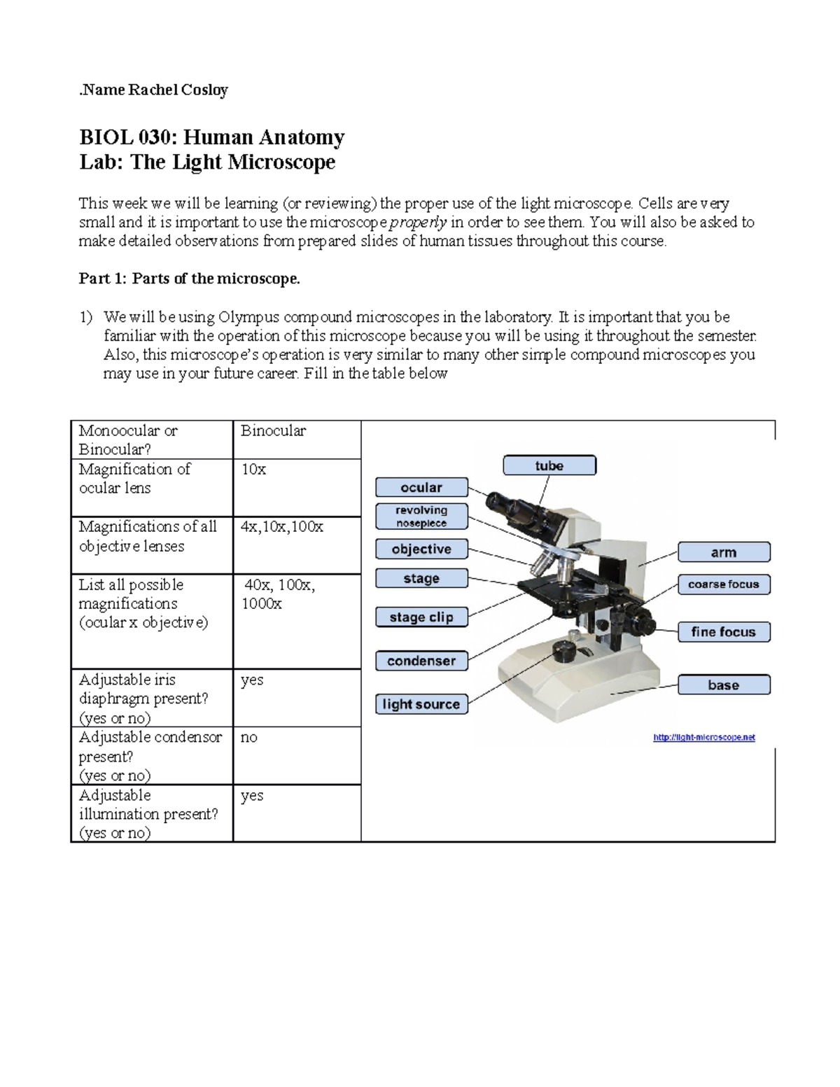 Microscope LAB - traugh - .Name Rachel Cosloy BIOL 030: Human Anatomy ...