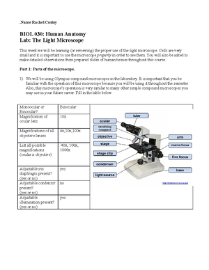 Exercise 14 - lab worksheets - Name - Lab Time/Date _________ _ EXEACl51i 14 °;)''- The Human ...