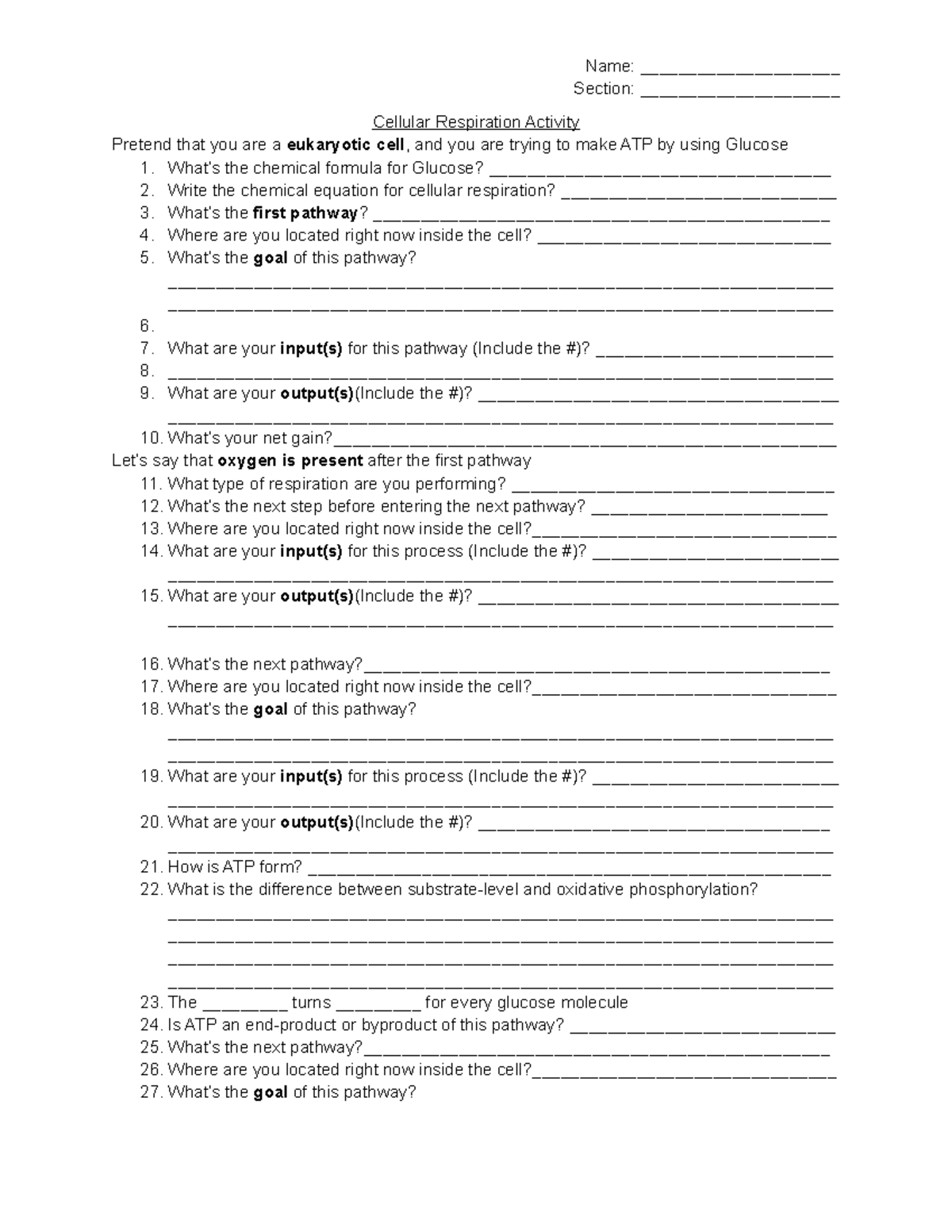 Cellular Respiration Activity - Name: _____________________ Section