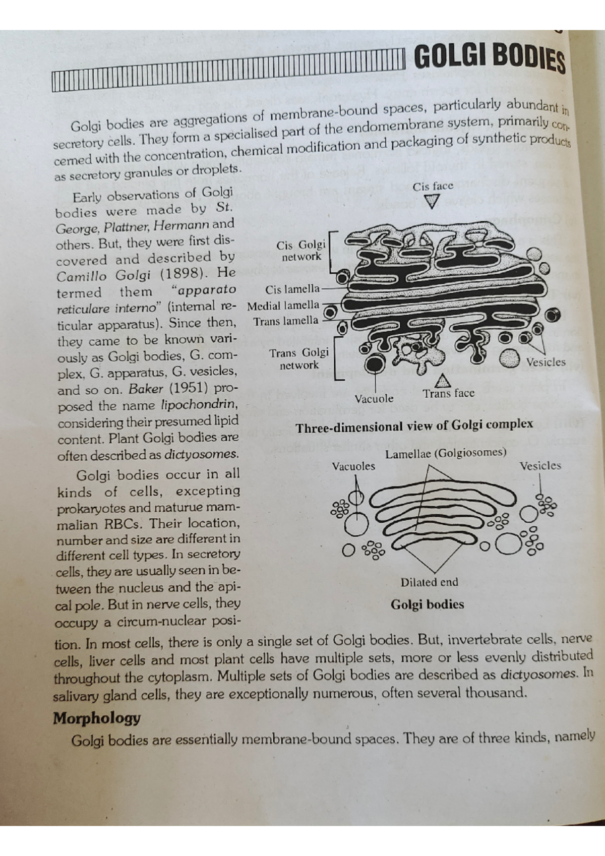 Golgi bodies - Zoology - Studocu