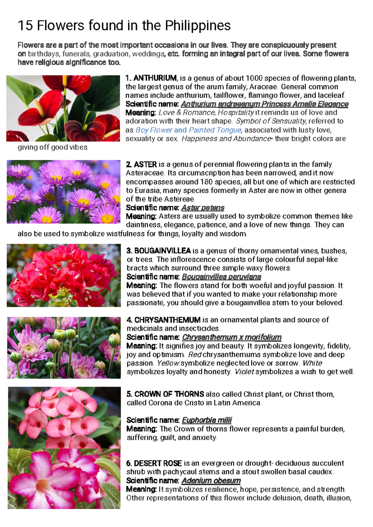 List of Flowers in the Philippines - 1 5FlowersfoundinthePhilippines ...