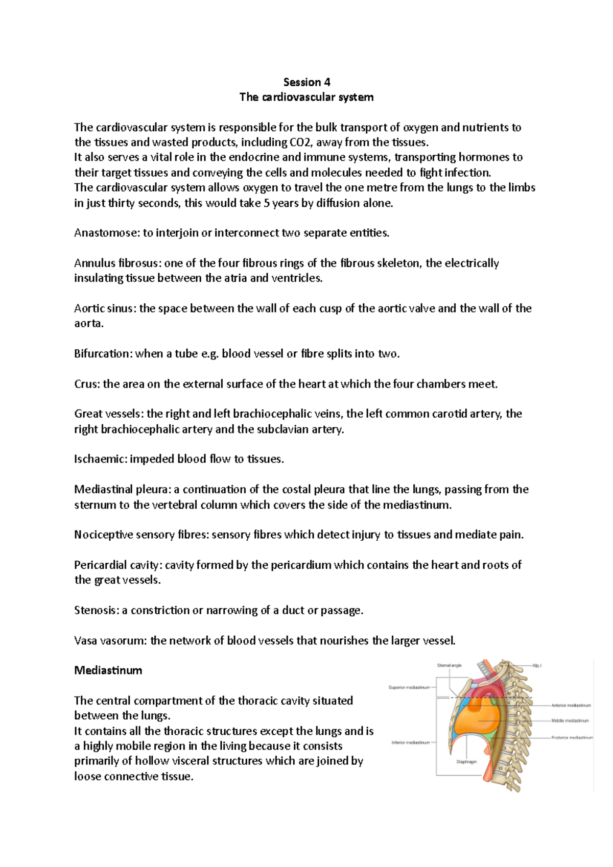 Session 4 - Lecture notes 4 - Session 4 The cardiovascular system The ...