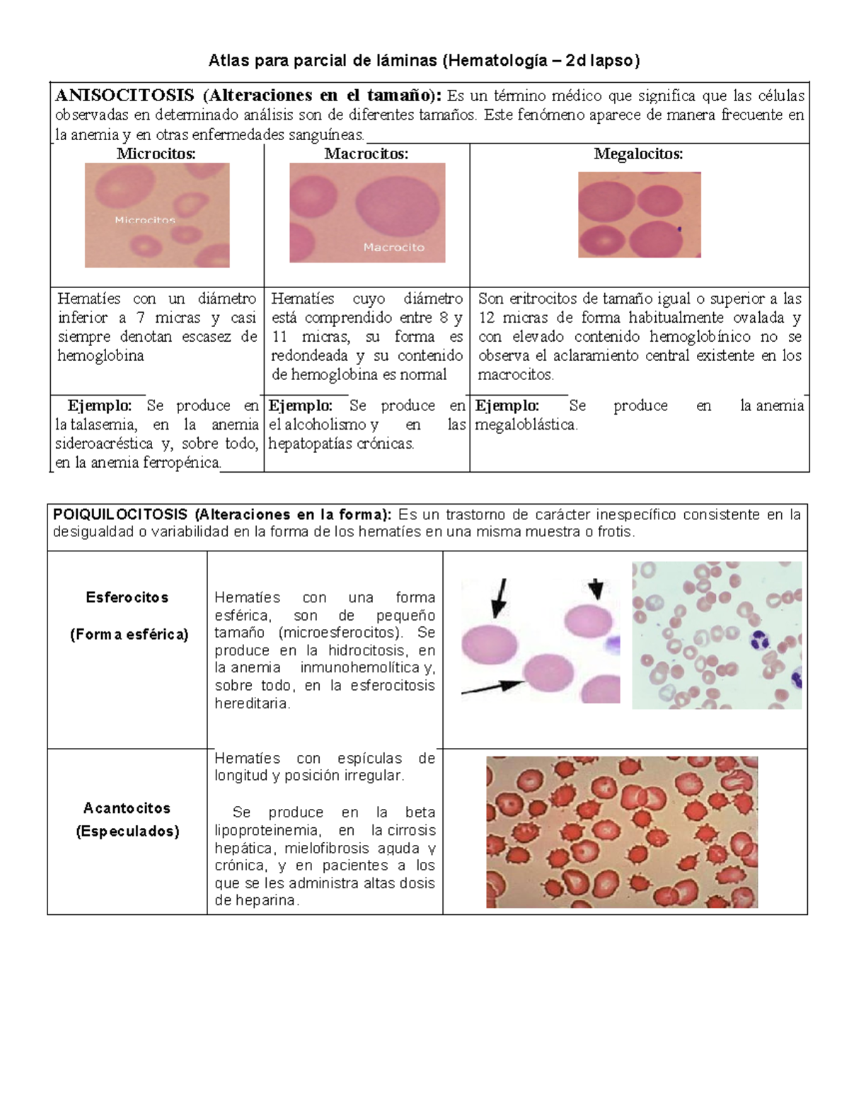 Laminario de Hematología - Atlas para parcial de láminas (Hematología ...