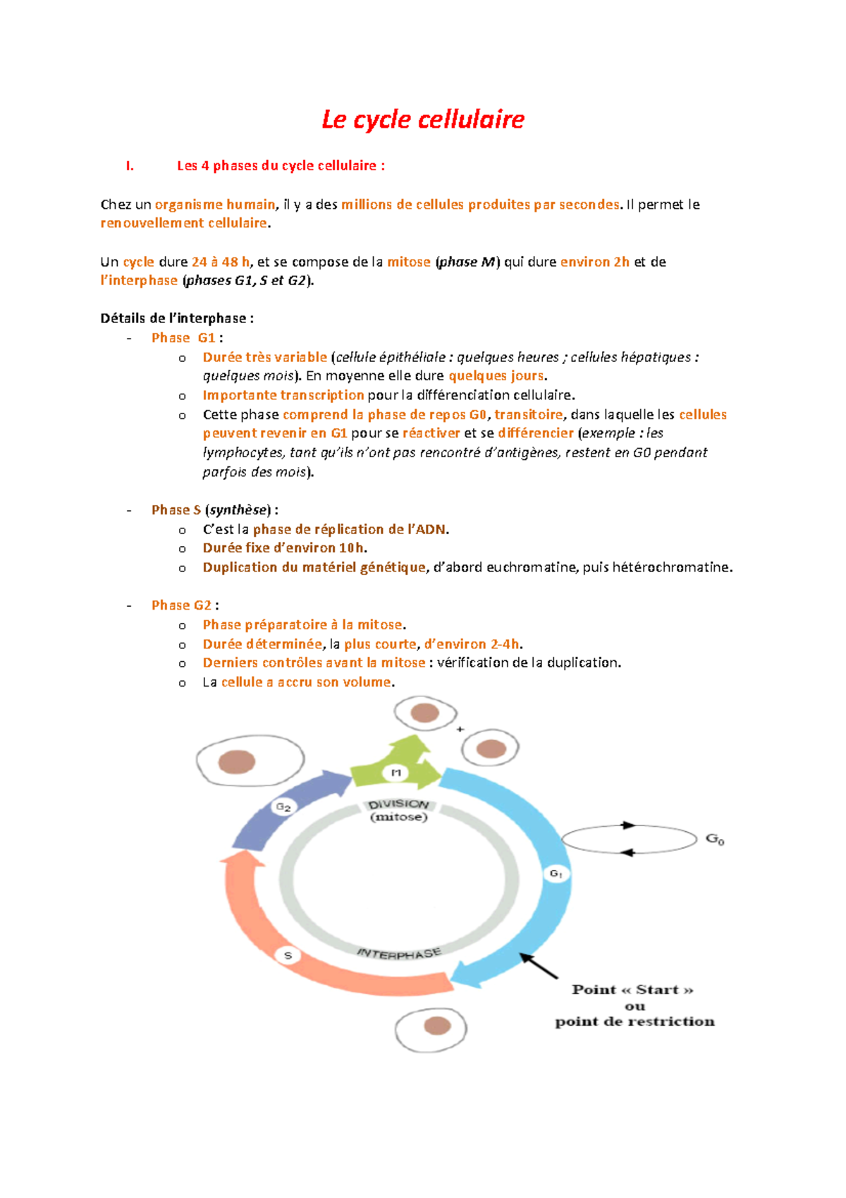 Le cycle cellulaire - M1 BIO. - Warning: TT: undefined function: 32 Le ...