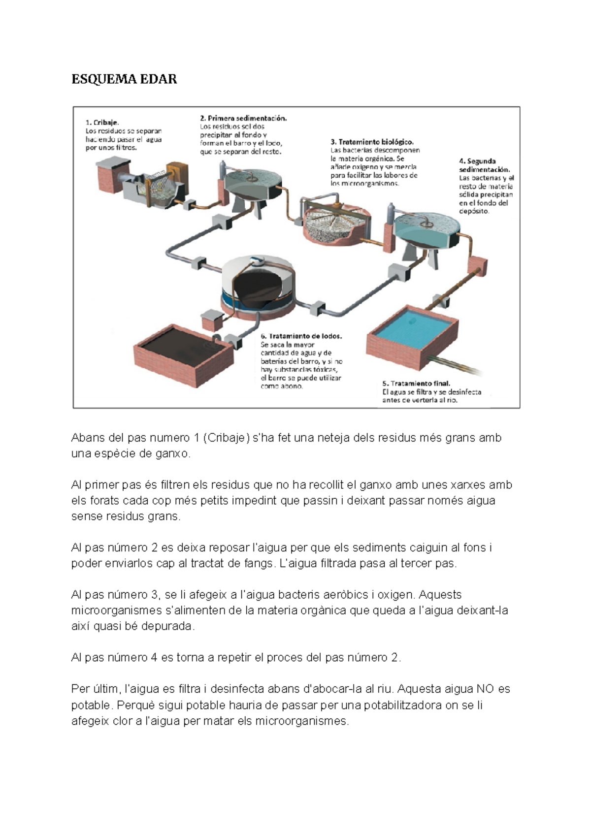 Esquema EDAR - ESQUEMA EDAR Abans del pas numero 1 (Cribaje) s’ha fet una neteja dels residus ...