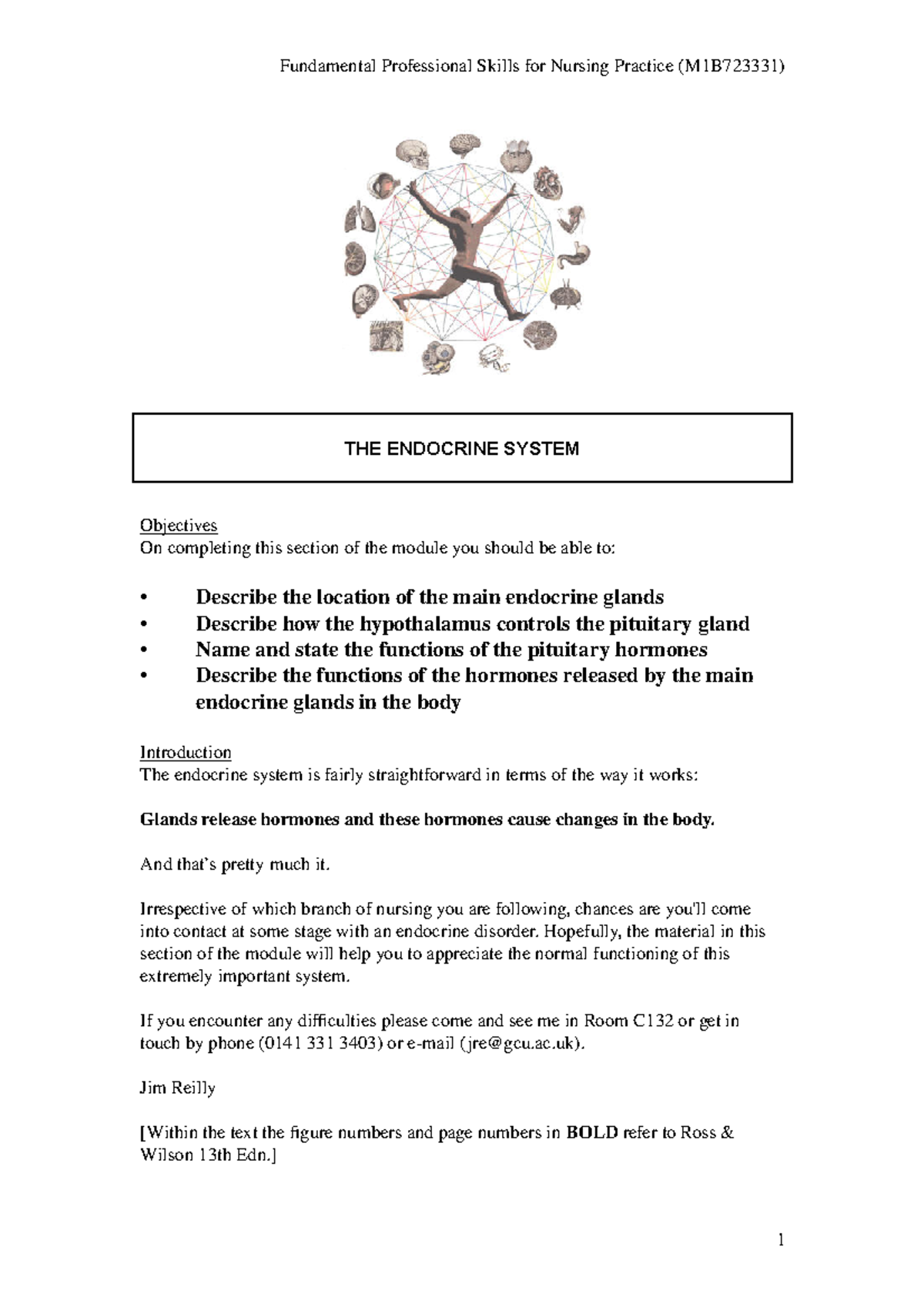 Endocrine System Topic PACK 2018-19 - THE ENDOCRINE SYSTEM Objectives ...