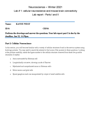 Biol 3060- Lab # 4-Introduction-Protocol-W2023 - Neuroscience – Winter 2023 Lab # 4: cellular ...