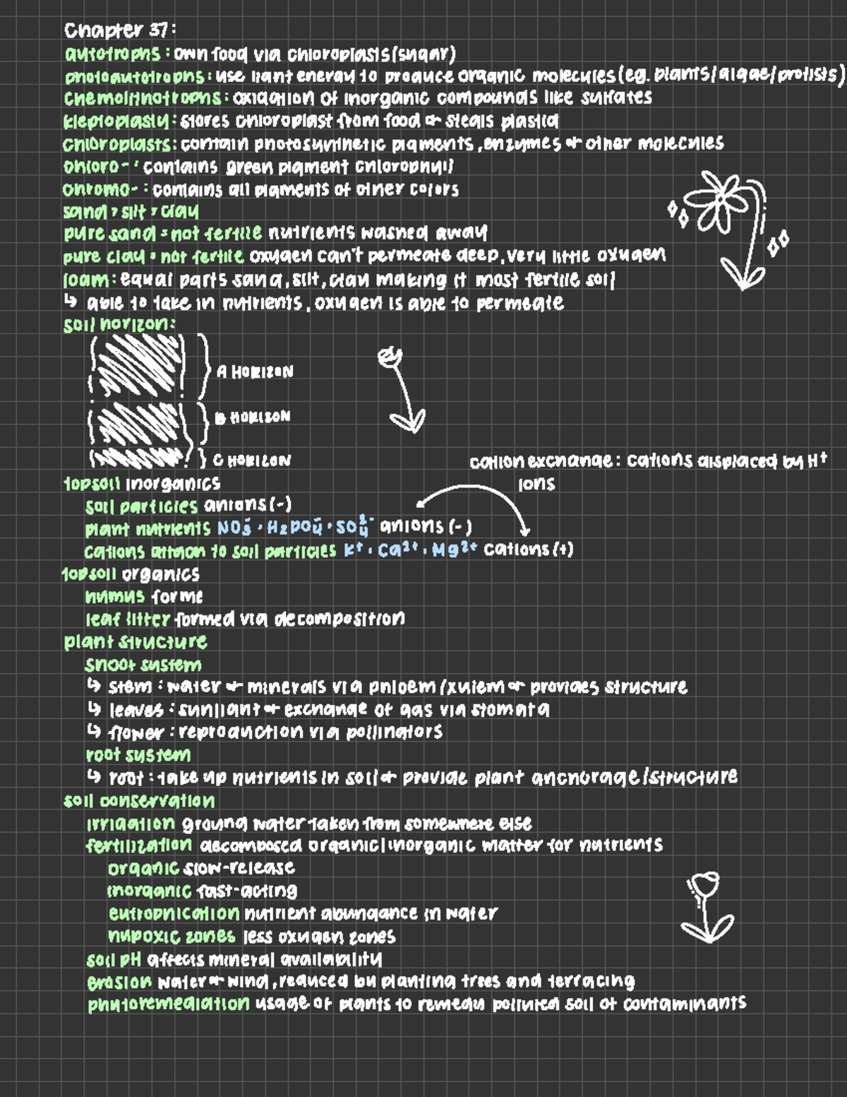 Chapter 37 Soil Plant Nutrition - Chapter 37 : ####### autotrophs : own ...