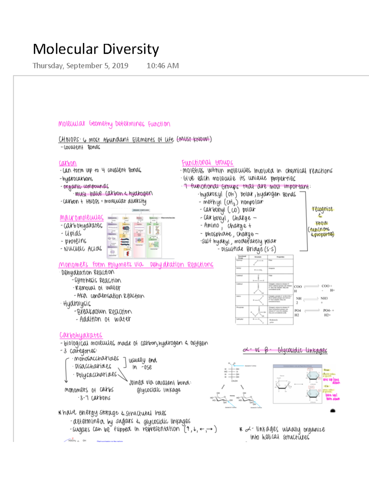 Molecular Diversity - BIOL 10504 - Warning: TT: undefined function: 32 Molecular Diversity ...