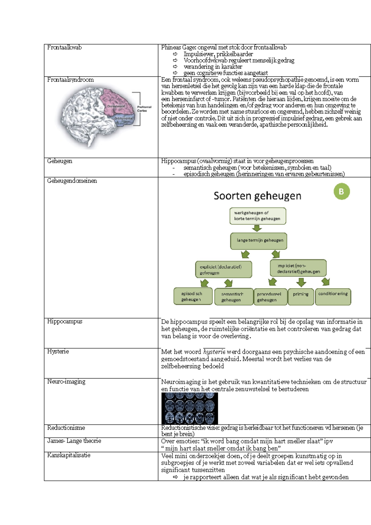 Psychologie - Frontaalkwab Phineas Gage: ongeval met stok door ...