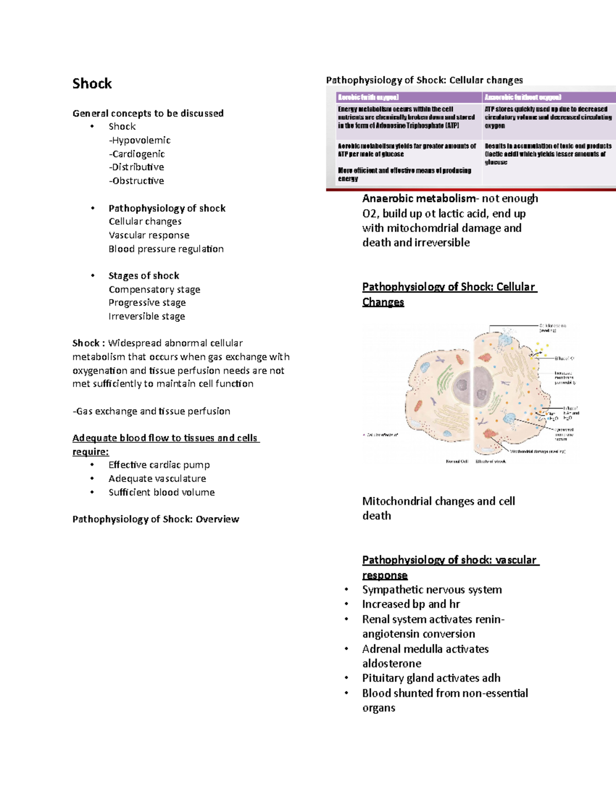 Shock - ... thing is even blood pressure is the same, the first thing ...