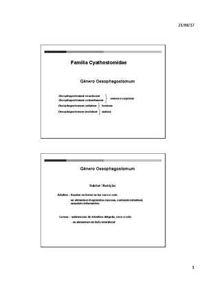 PDF Aula parasito II Stephanurus dentatus - Stephanurus dentatus VERME ...