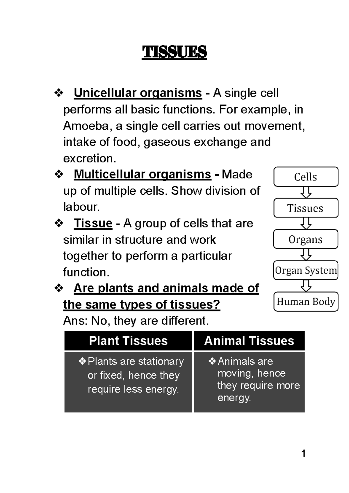 Tissues - Notes - TISSUES Unicellular organisms - A single cell ...