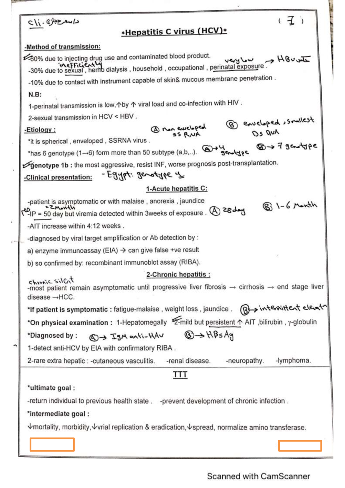 HCV - Summary of hepatitis c virus - Clinical Pharmacy - Studocu