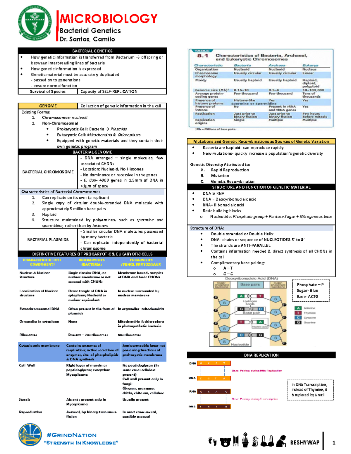 Microbiology 6 - Bacterial Genetics Dr. Santos, Camilo #GrindNation ...