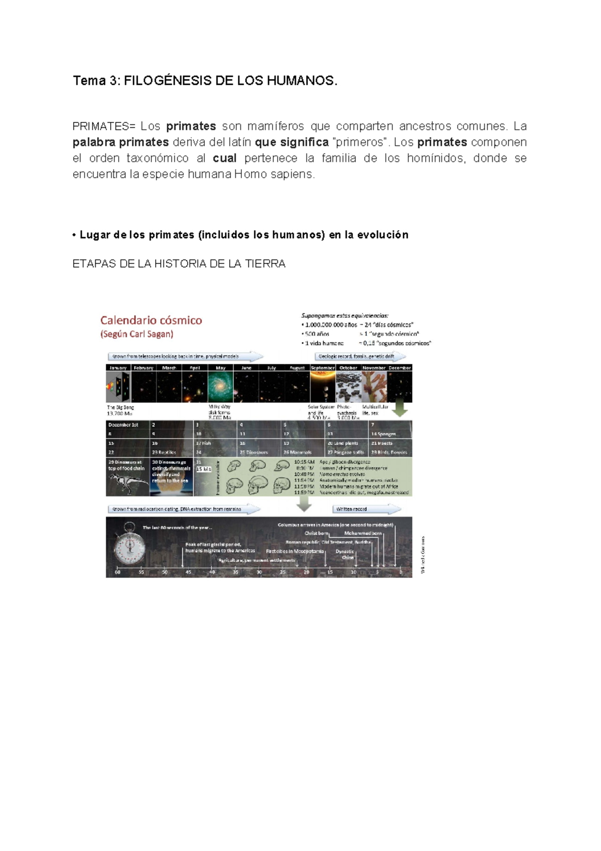 Tema 3. Filogénesis de los humanos - Tema 3: FILOGÉNESIS DE LOS HUMANOS ...
