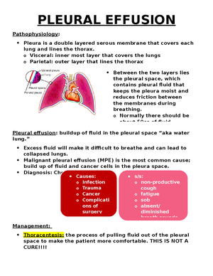 Ineffective Endocarditis - Ineffective Endocarditis Definition ...