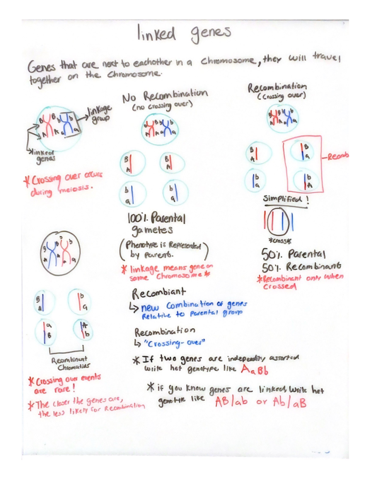 Linked genes - BIO 325 - StuDocu