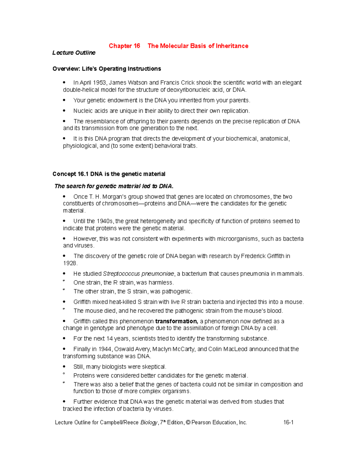 Chapter 16 The Molecule Basis of Inheritance - Chapter 16 The Molecular ...
