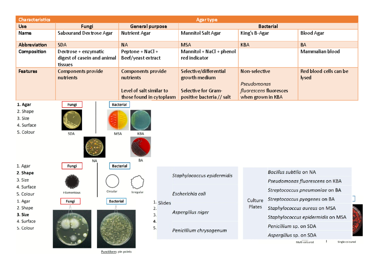 BIOL1007 Proficiency Assessment Notes - Characteristics Agar type Use ...