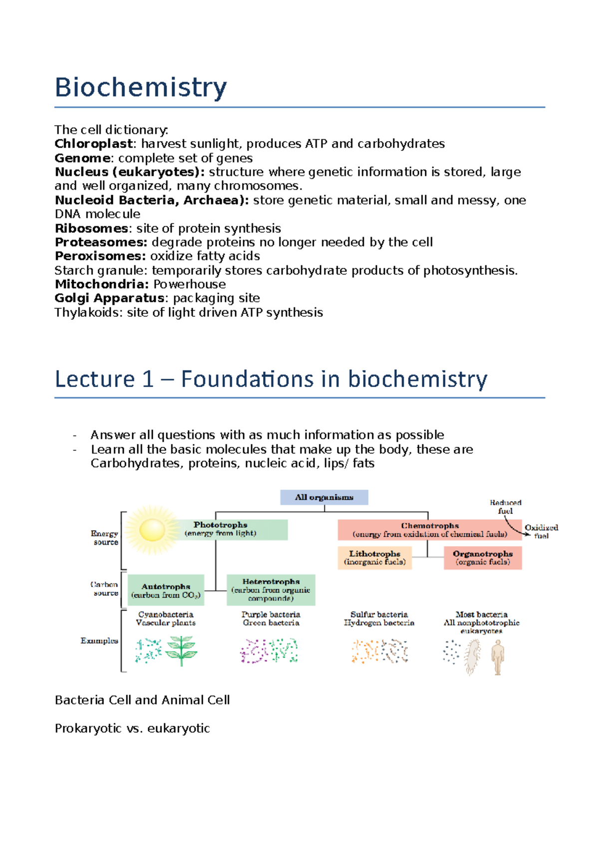 Biochemistry Leture Notes - Biochemistry The cell dictionary ...