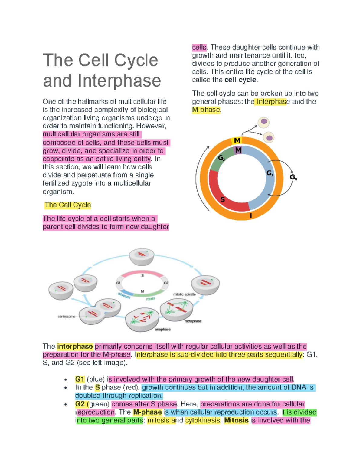 Cell Notes Related to Zoology 01 - The Cell Cycle and Interphase One of ...