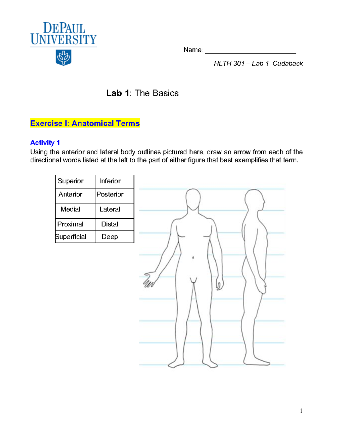 HLTH+301+-+Lab+1+2019 - HLTH 301 – Lab 1 Cudaback Lab 1: The Basics ...