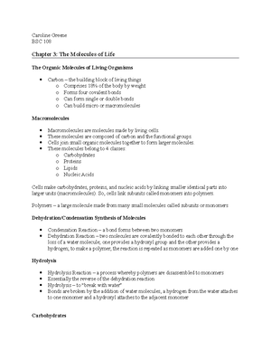 Lab 1 Scientific Method Lab Worksheet - BSC 108 Lab 1: Scientific ...