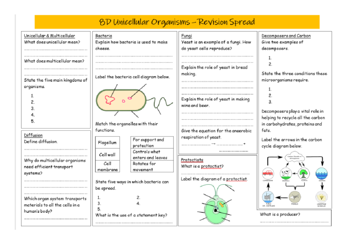 8D revision mind map - Biology Work class - 2021.2022 - Studocu