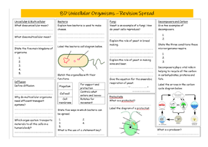 8b plants and their reproduction scheme of learning - Unit of Work ...
