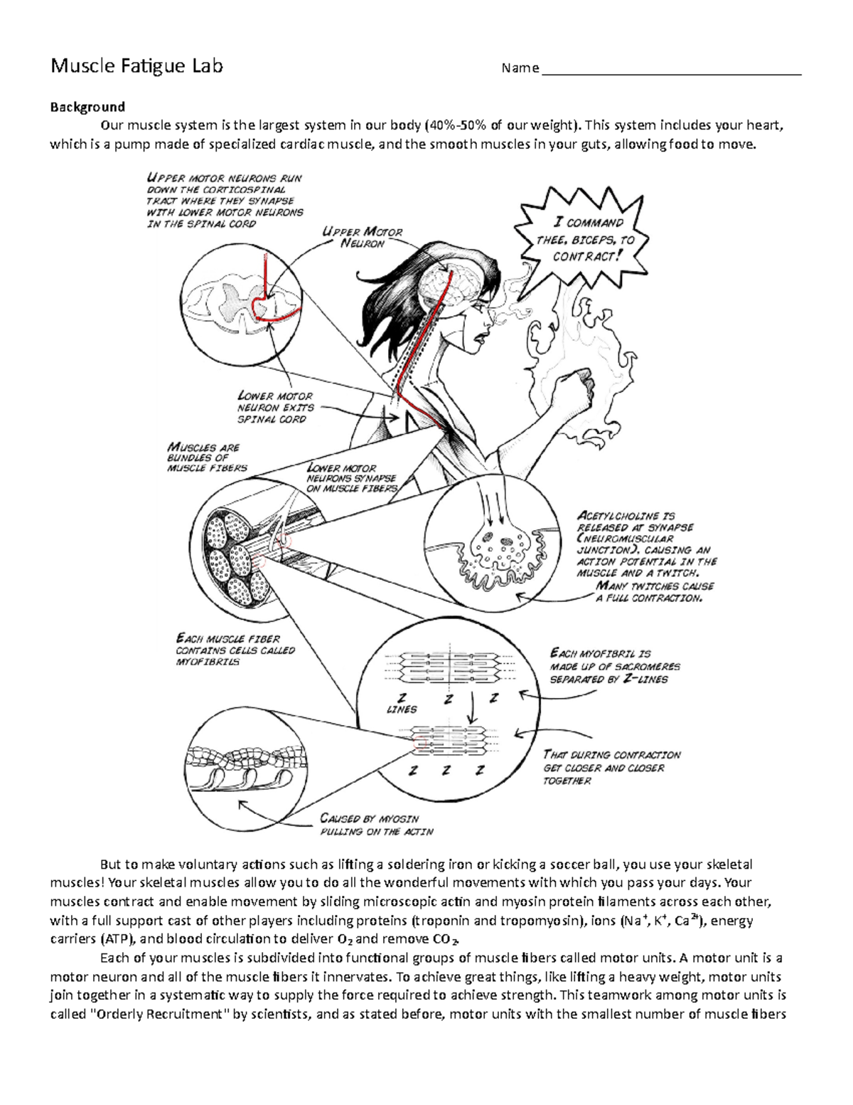 Muscle Fatigue Lab - JJ - 2020 - Muscle Fatigue Lab Name