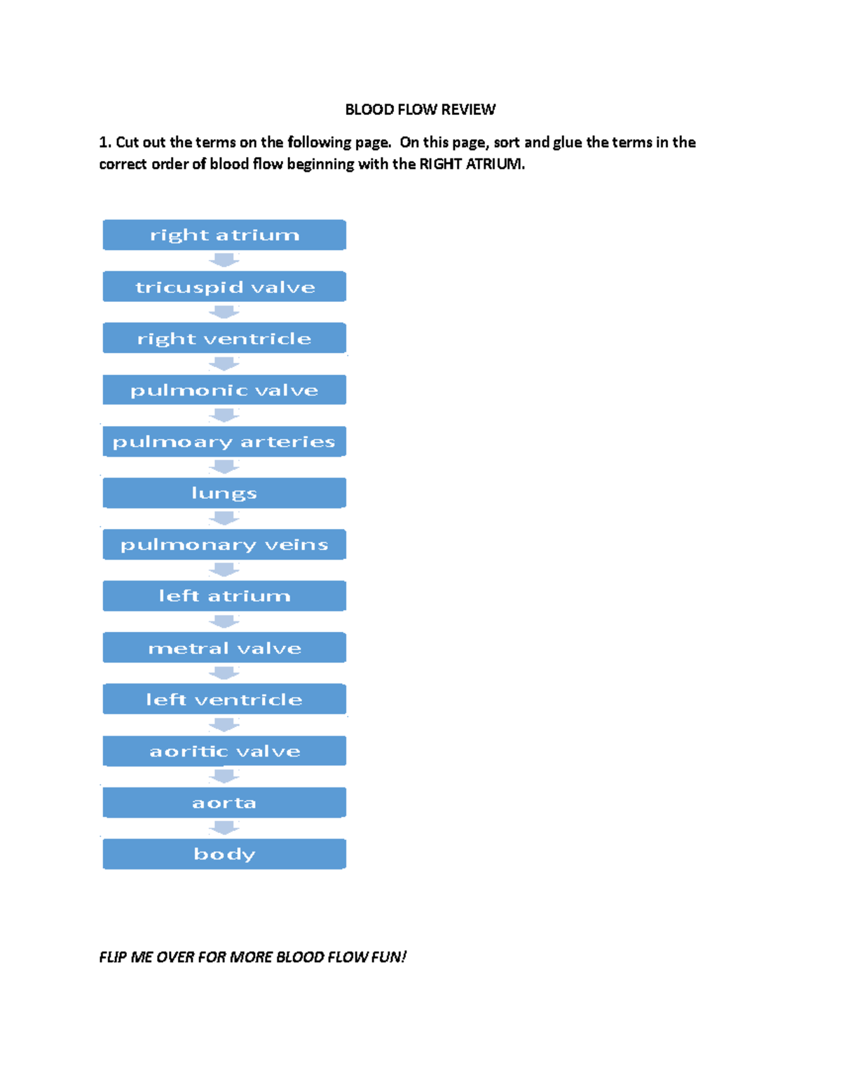 Blood FLOW Review - minx - BLOOD FLOW REVIEW 1. Cut out the terms on ...