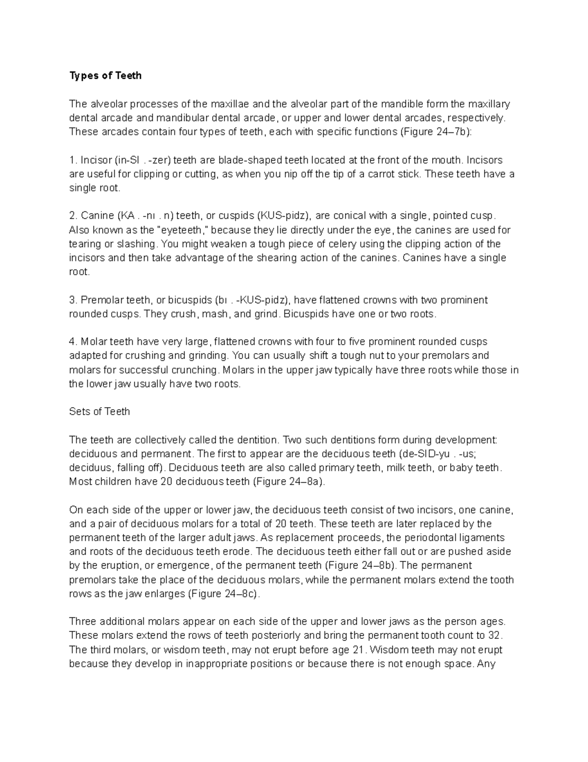 Types of Teeth - Lecture notes 13 - Types of Teeth The alveolar ...