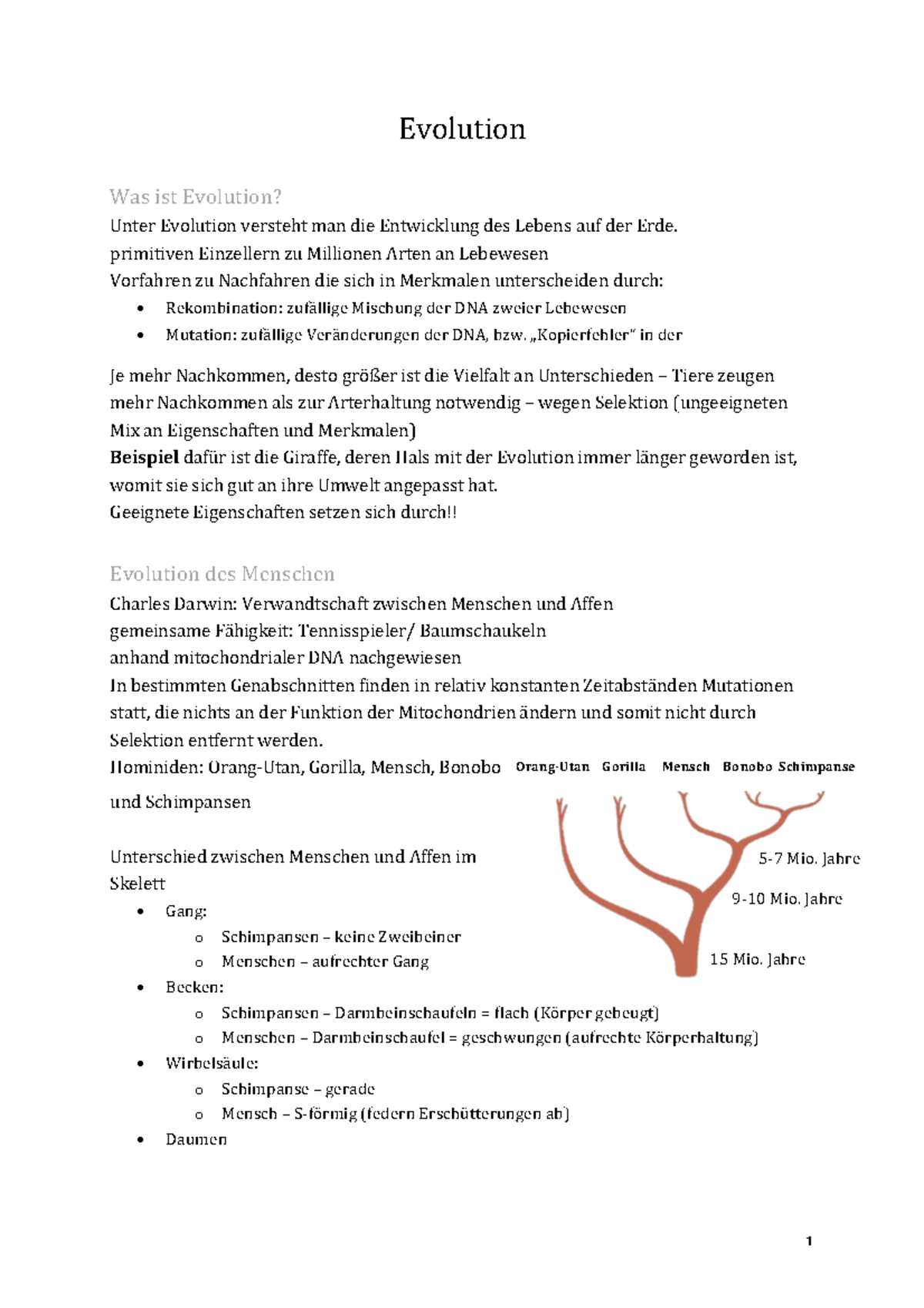 Evolution - Summary - Evolution Was ist Evolution? Unter Evolution ...